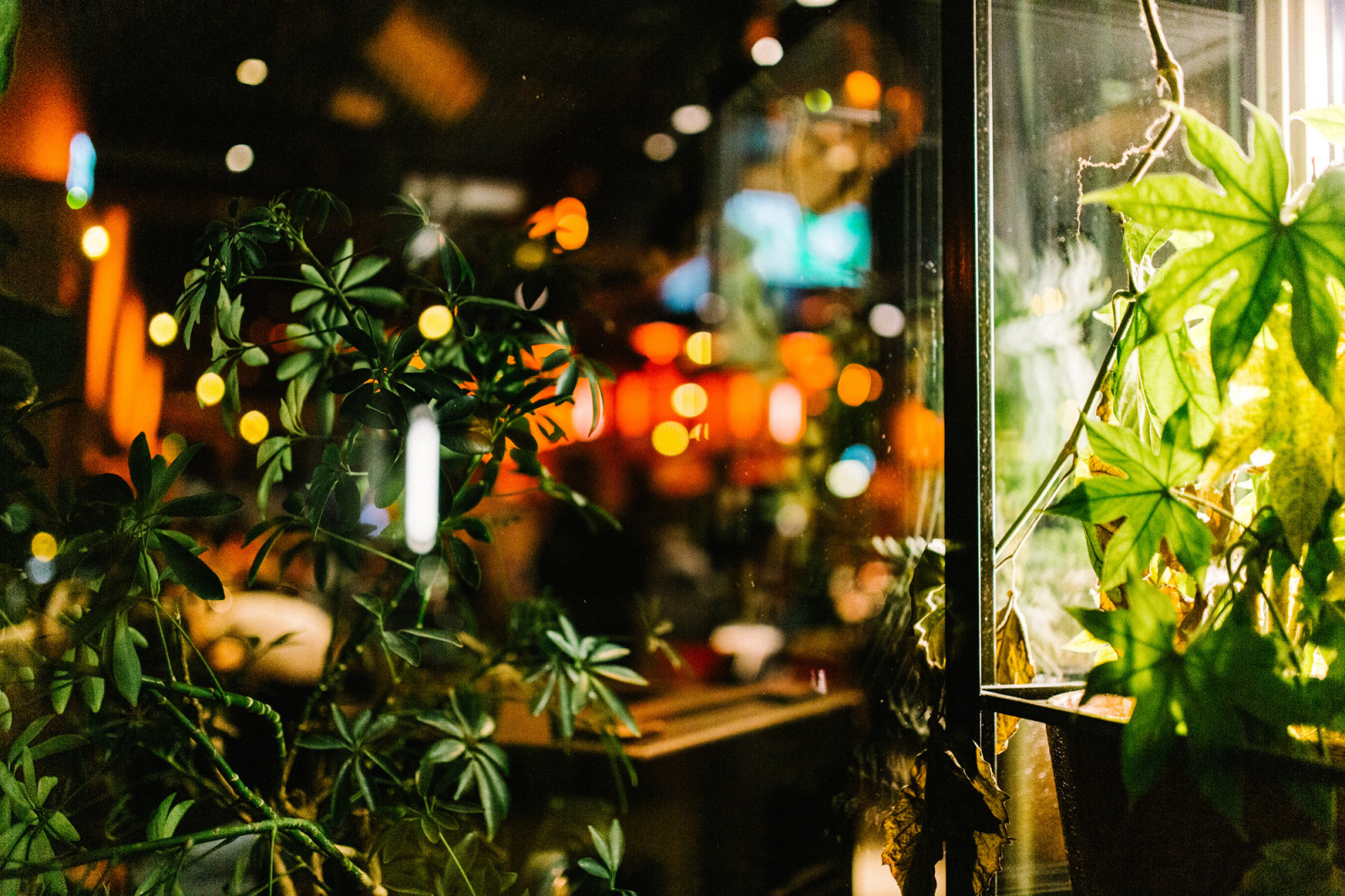 Canvas restaurant & bar dancing | Volkshotel Amsterdam